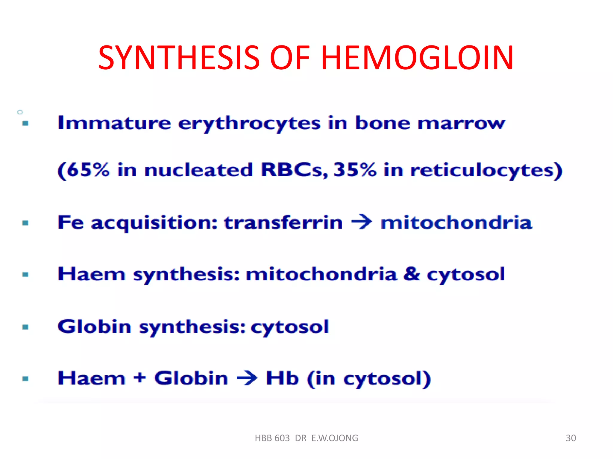 Haemoglobin Synthesis.pdf