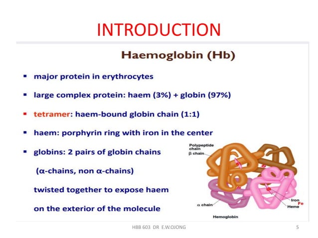 Haemoglobin Synthesis.pdf | Chemistry | Science