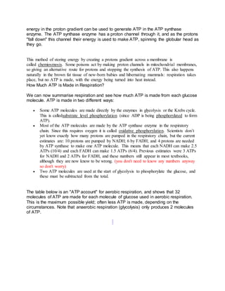 cape biology unit 2 -_respiration_and_photosynthesis_version_1 | PDF