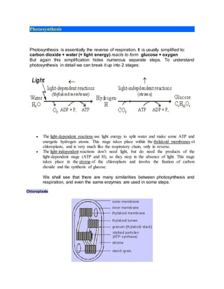cape biology unit 2 -_respiration_and_photosynthesis_version_1 | PDF