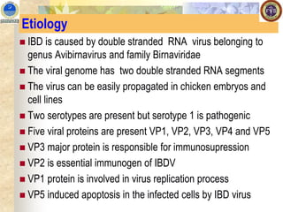 Lecture1 IBD Infectious Bursal Disease | PDF