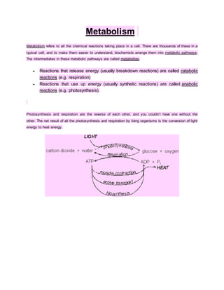 Cape biology unit 2 -_atp_respiration_and_photosynthesis_version_2 | DOCX