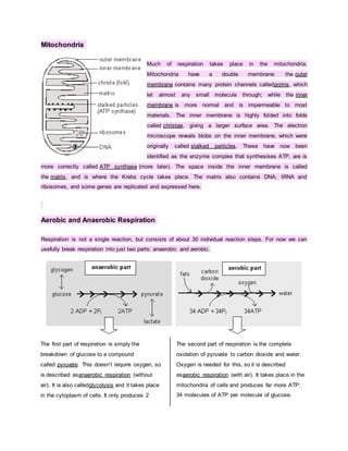 Cape biology unit 2 -_atp_respiration_and_photosynthesis_version_2 | PDF