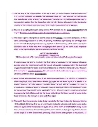 Cape biology unit 2 -_atp_respiration_and_photosynthesis_version_2 | DOCX