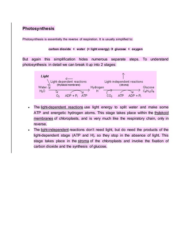 Cape biology unit 2 -_atp_respiration_and_photosynthesis_version_2 ...