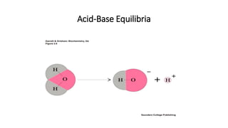 LECTURE II Acids and Bases.ppt