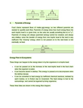 Cape biology unit 2 -_matter_and_energy_flow__recycling_in_the ...