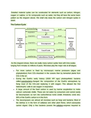 Cape biology unit 2 -_matter_and_energy_flow__recycling_in_the ...