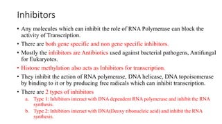 Lecture Inhibitors of Transcription notes.pdf