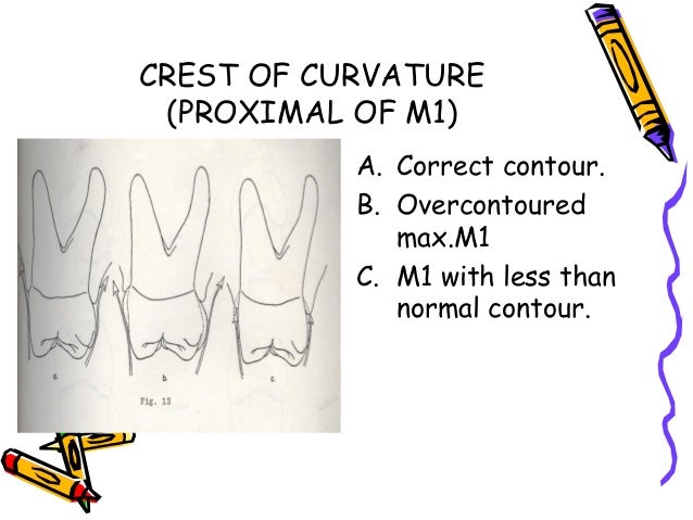 Lecture in oral physio