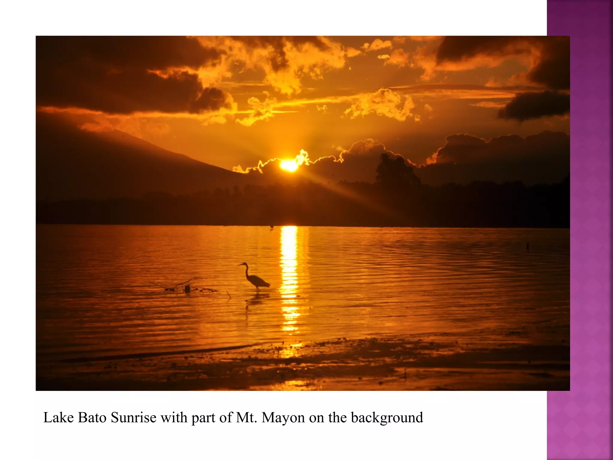 Lecture in Photojournalism | PPT