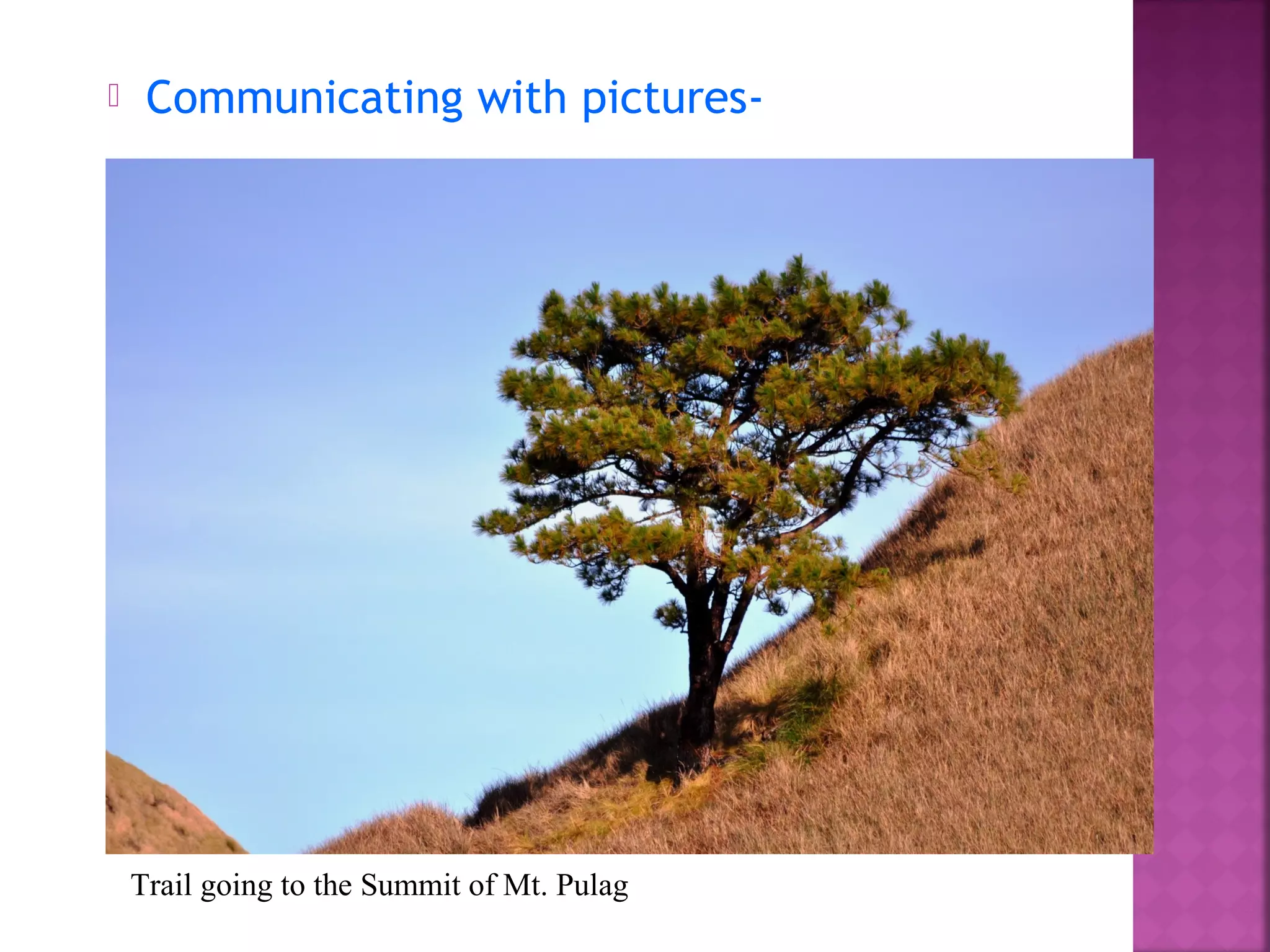 Lecture in Photojournalism | PPT | Photography | Arts and Crafts