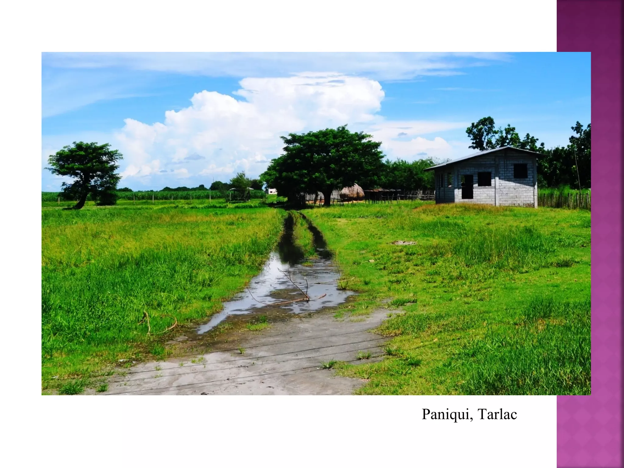 Lecture in Photojournalism | PPT