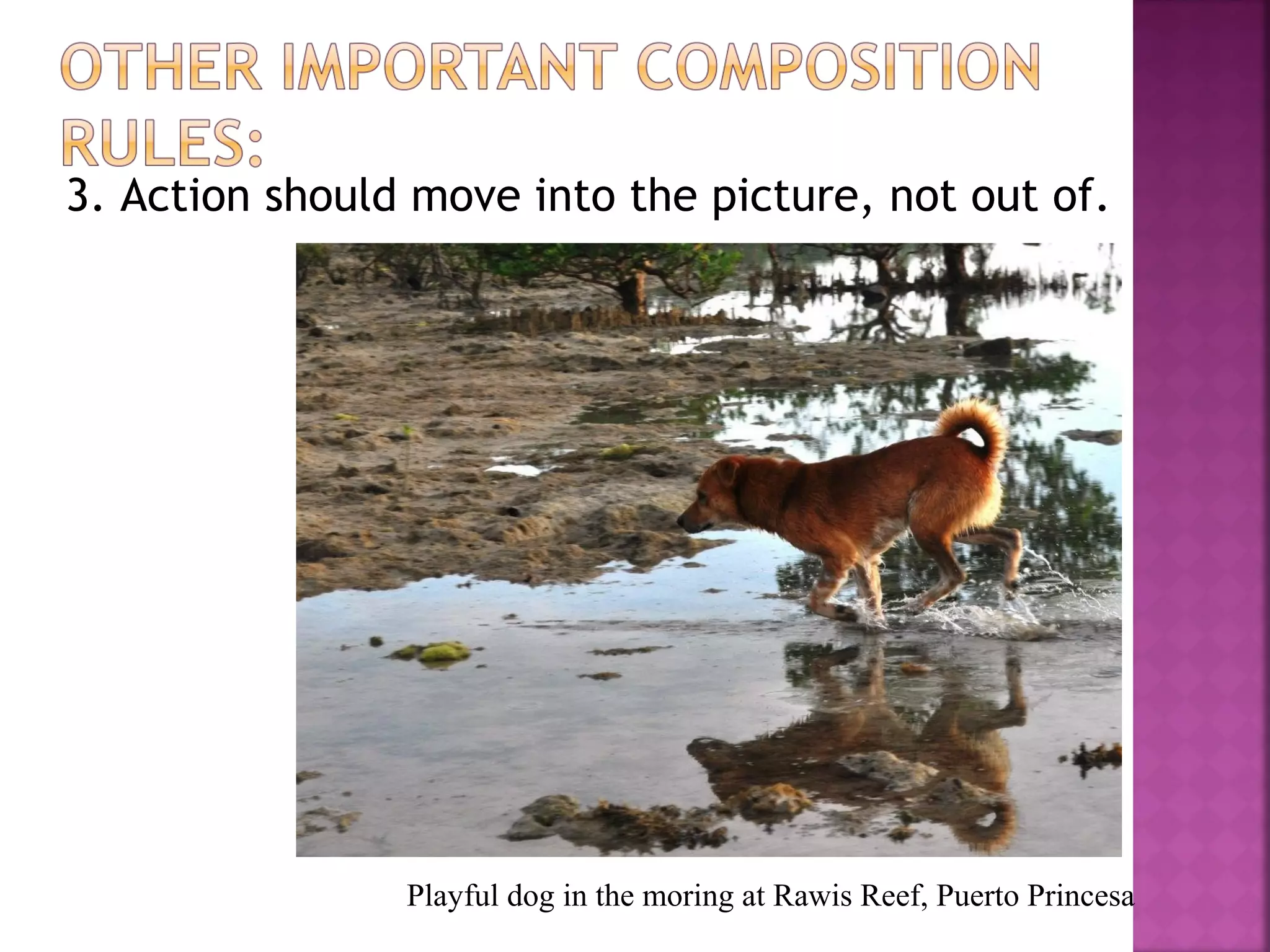 Lecture in Photojournalism | PPT