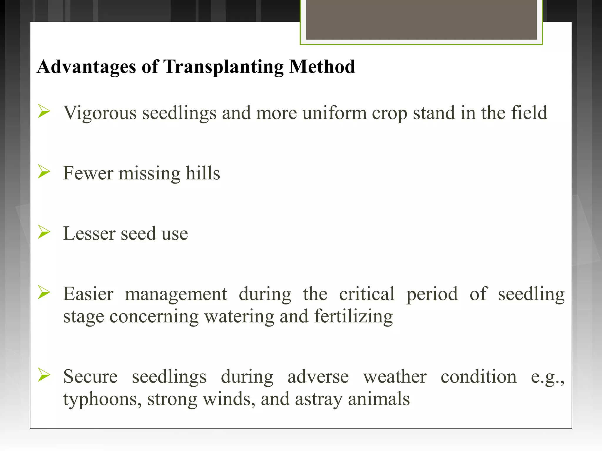 Lecture in seedling production | ODP
