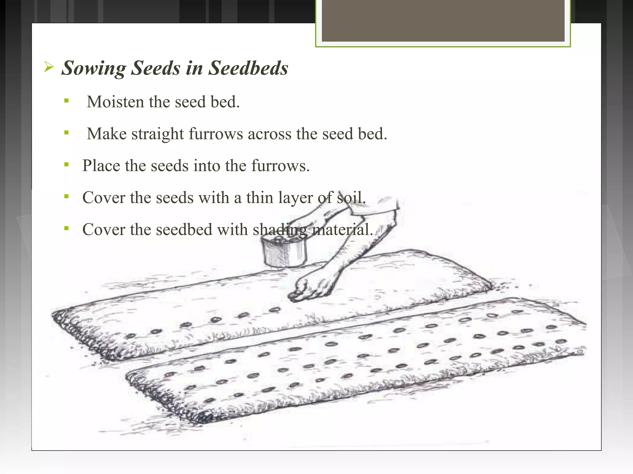 Lecture in seedling production | ODP