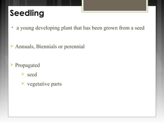 Lecture in seedling production | ODP