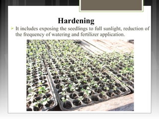 Lecture in seedling production | ODP