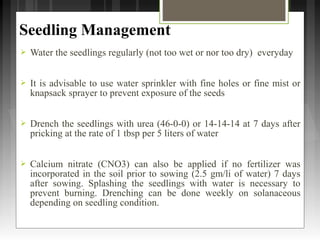 Lecture in seedling production | ODP