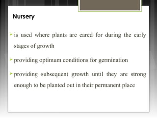 Lecture in seedling production | ODP