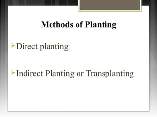 Lecture in seedling production | ODP