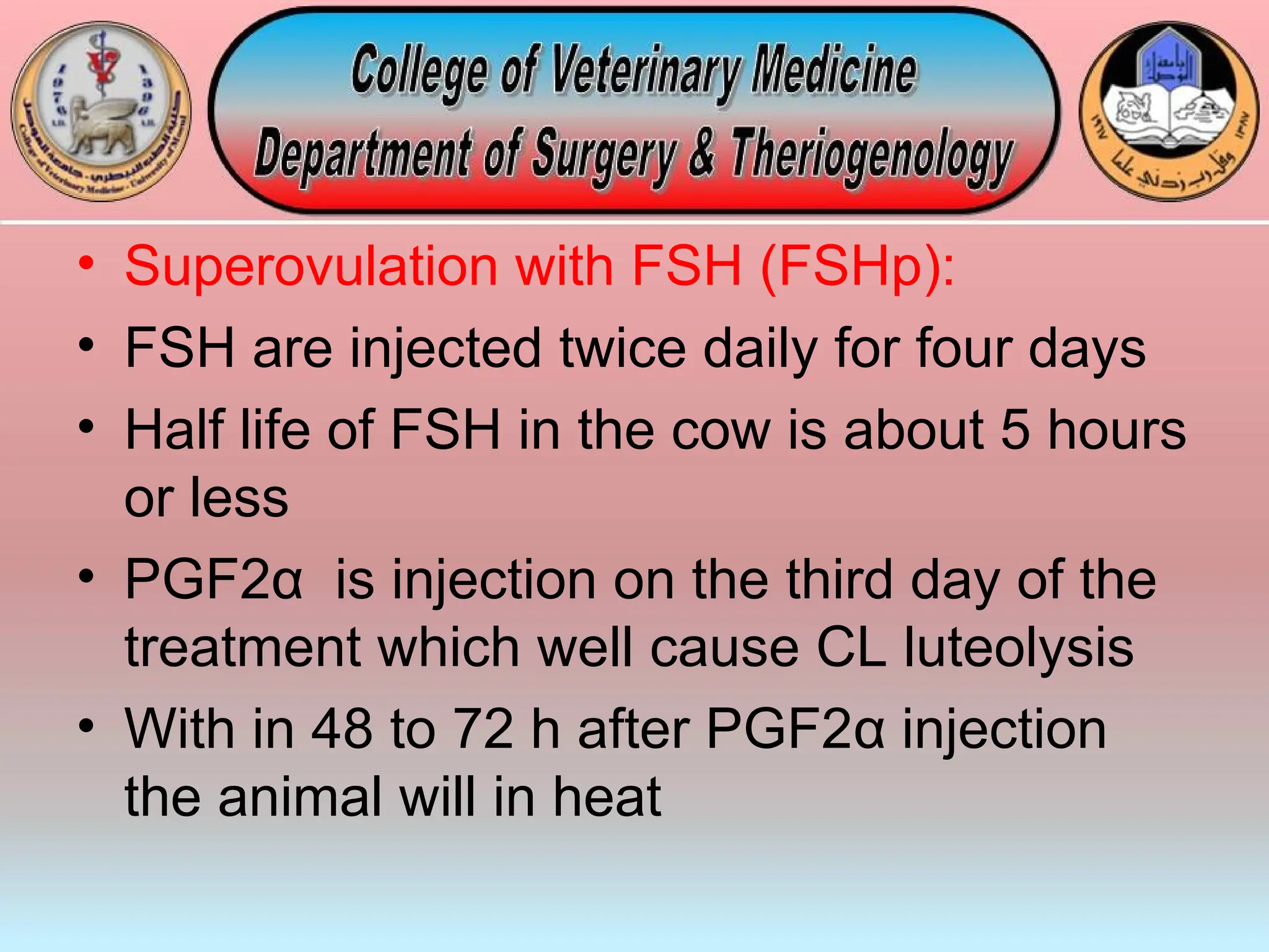 superovulation and its applications in cattle.ppt