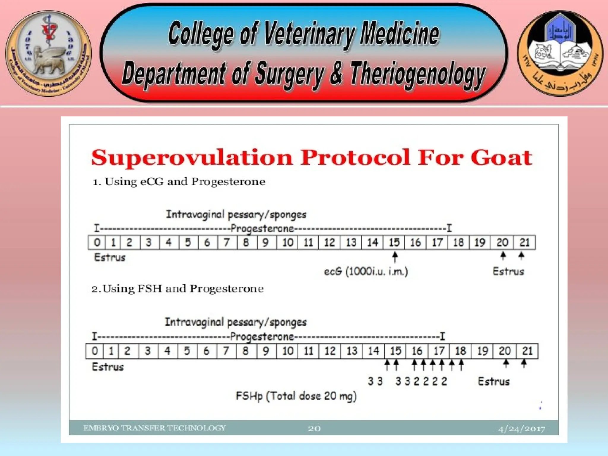 superovulation and its applications in cattle.ppt