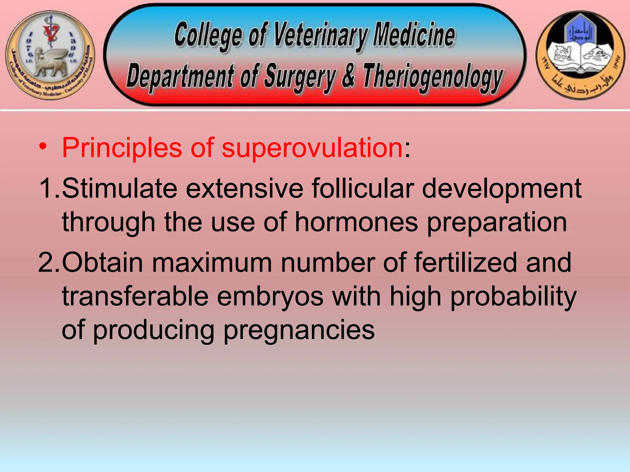 superovulation and its applications in cattle.ppt