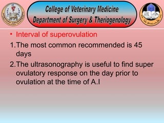 superovulation and its applications in cattle.ppt