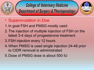 superovulation and its applications in cattle.ppt