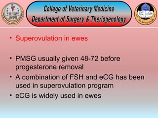 superovulation and its applications in cattle.ppt