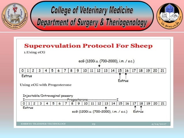 superovulation and its applications in cattle.ppt