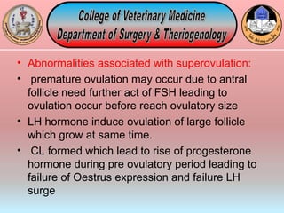superovulation and its applications in cattle.ppt