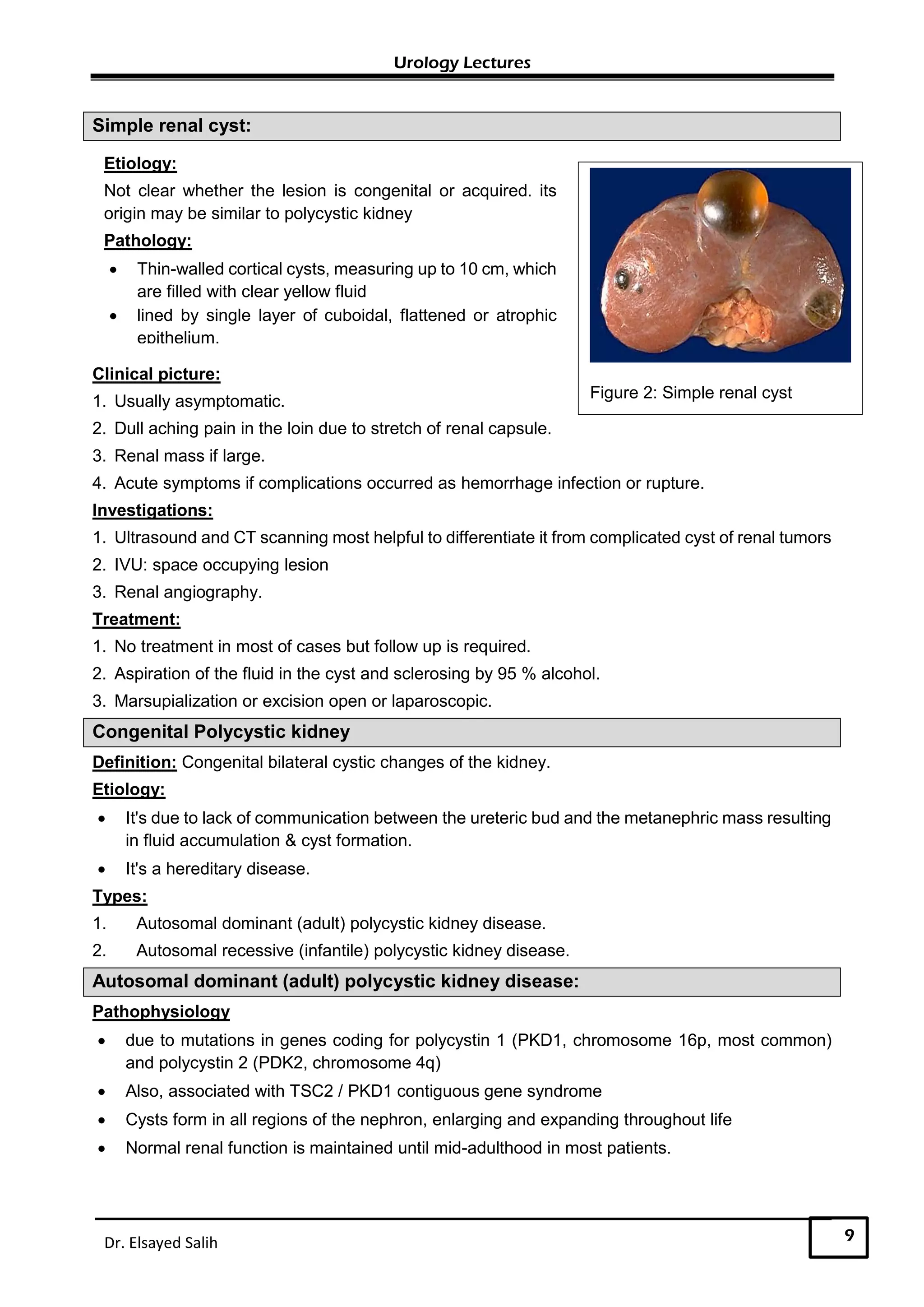 Lectures in urology for undergraduate medical students | PDF