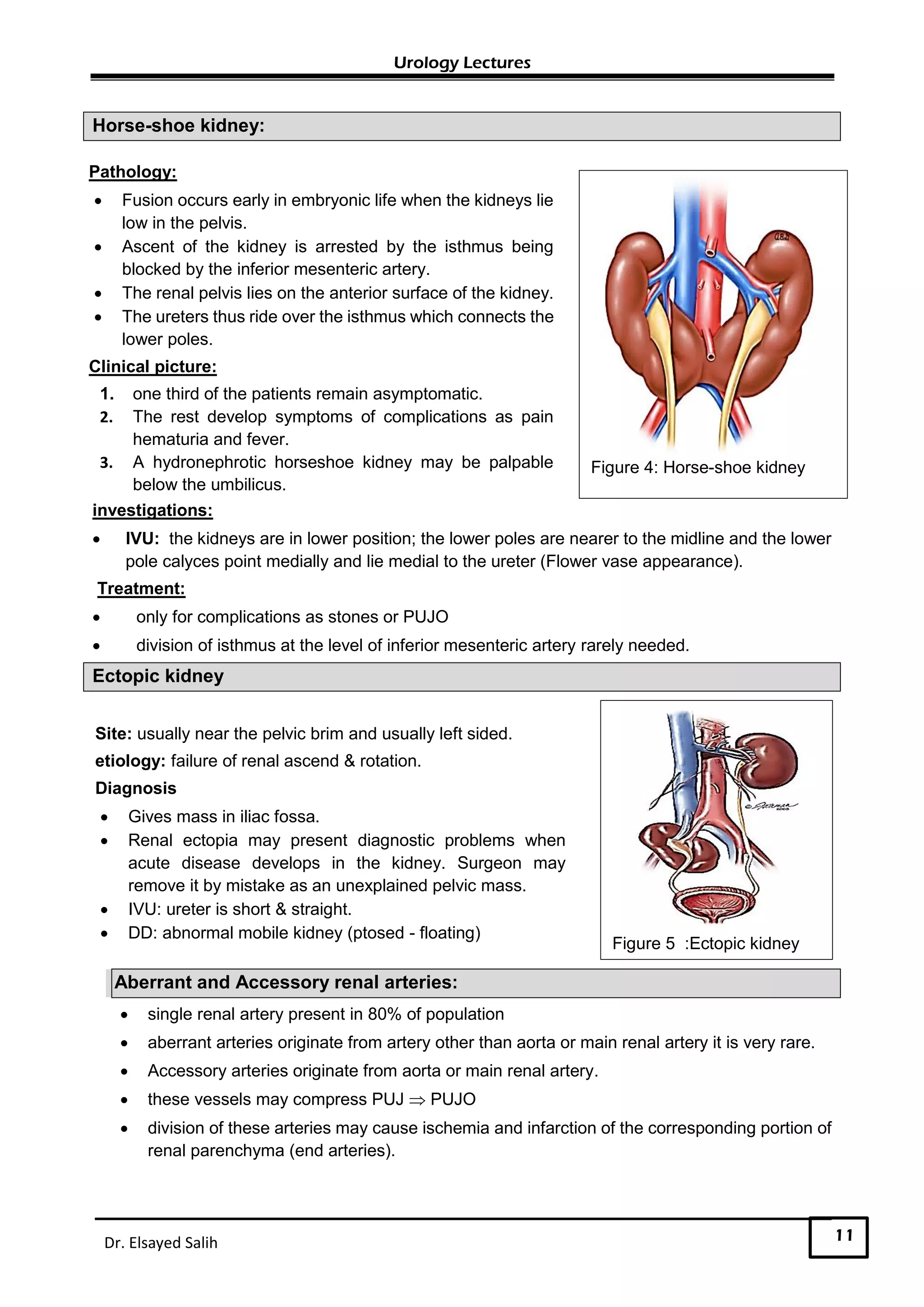 Lectures in urology for undergraduate medical students | PDF