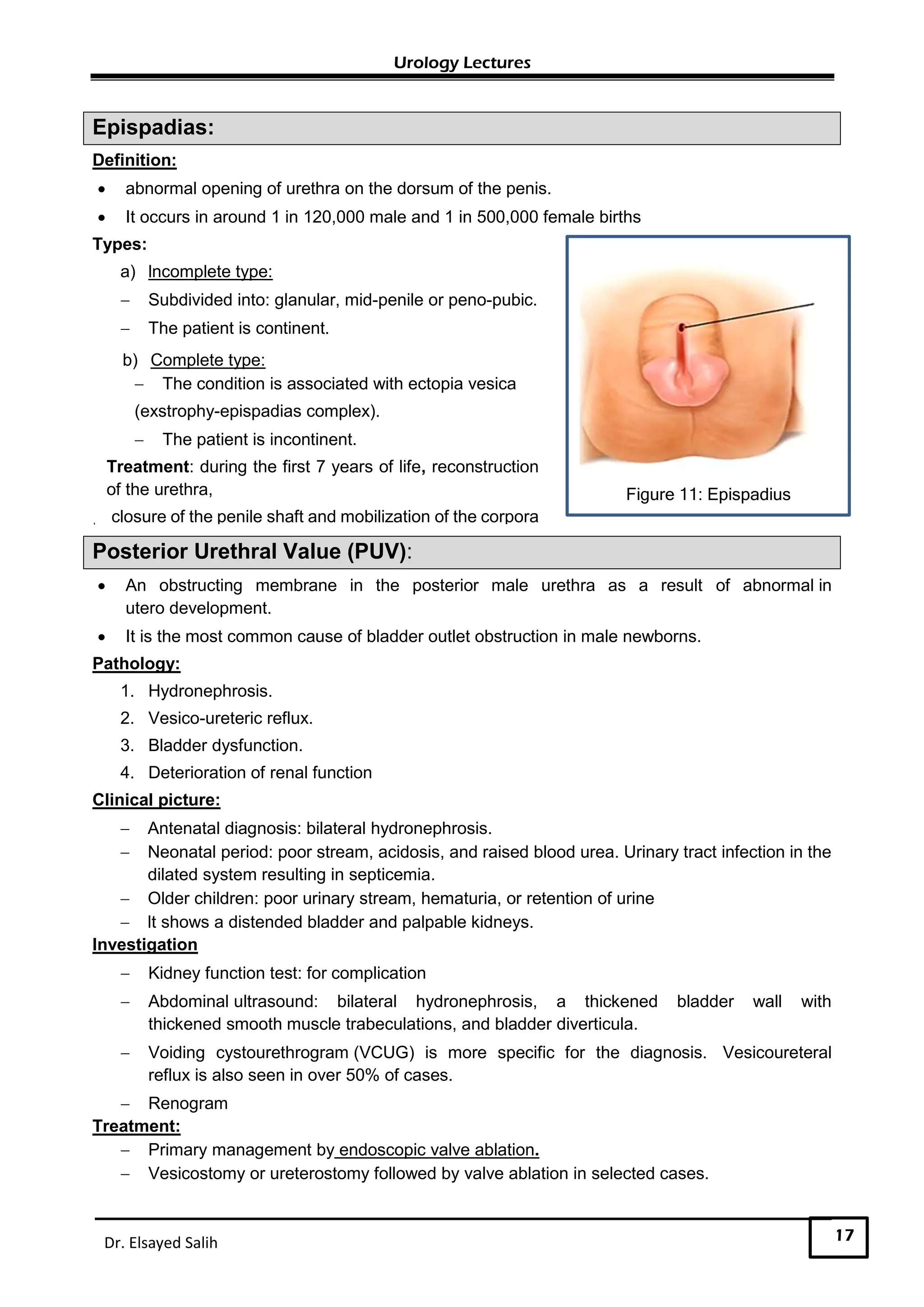Lectures in urology for undergraduate medical students | PDF