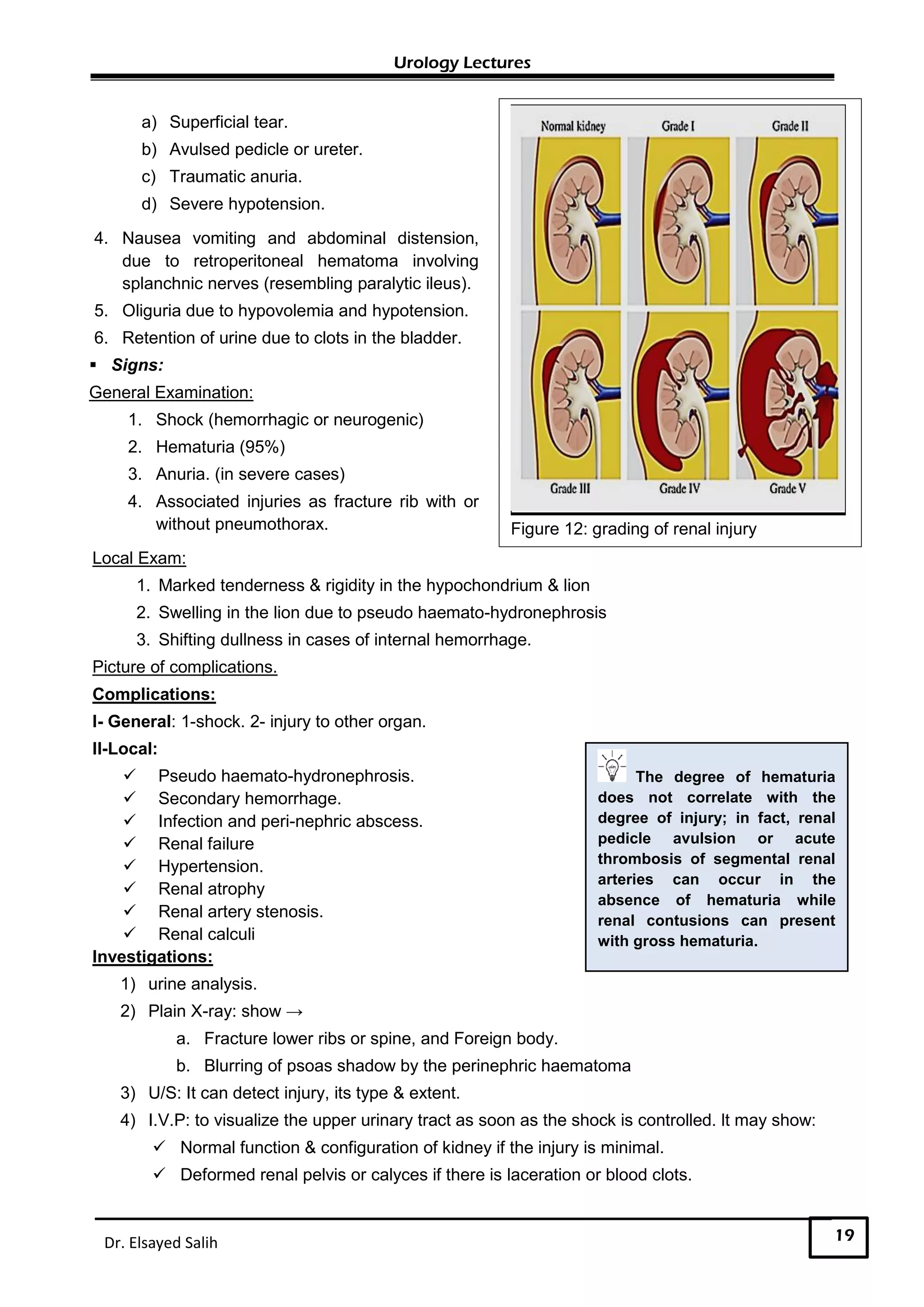 Lectures in urology for undergraduate medical students | PDF