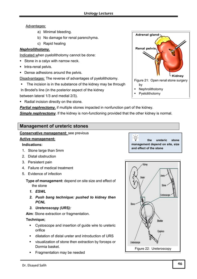 Lectures in urology for undergraduate medical students | PDF