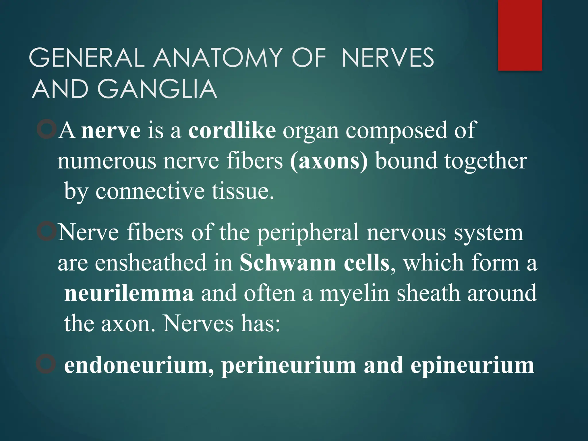 Lecture of Peripheral Nervous System anatomy.pptx