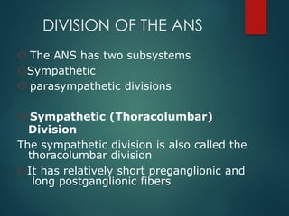 Lecture of Peripheral Nervous System anatomy.pptx
