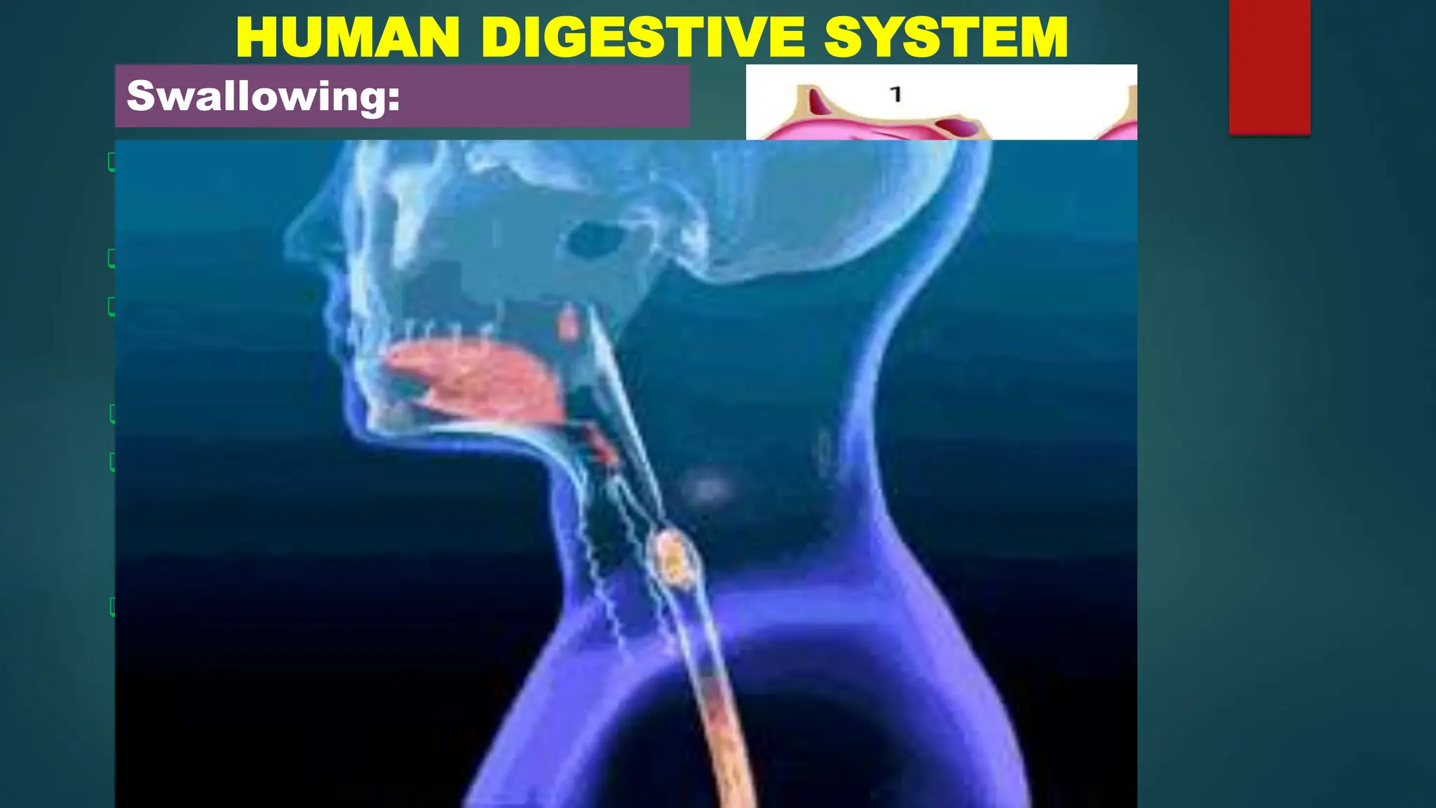 Lecture KIPS 2023 English and maths Unit 6.pptx