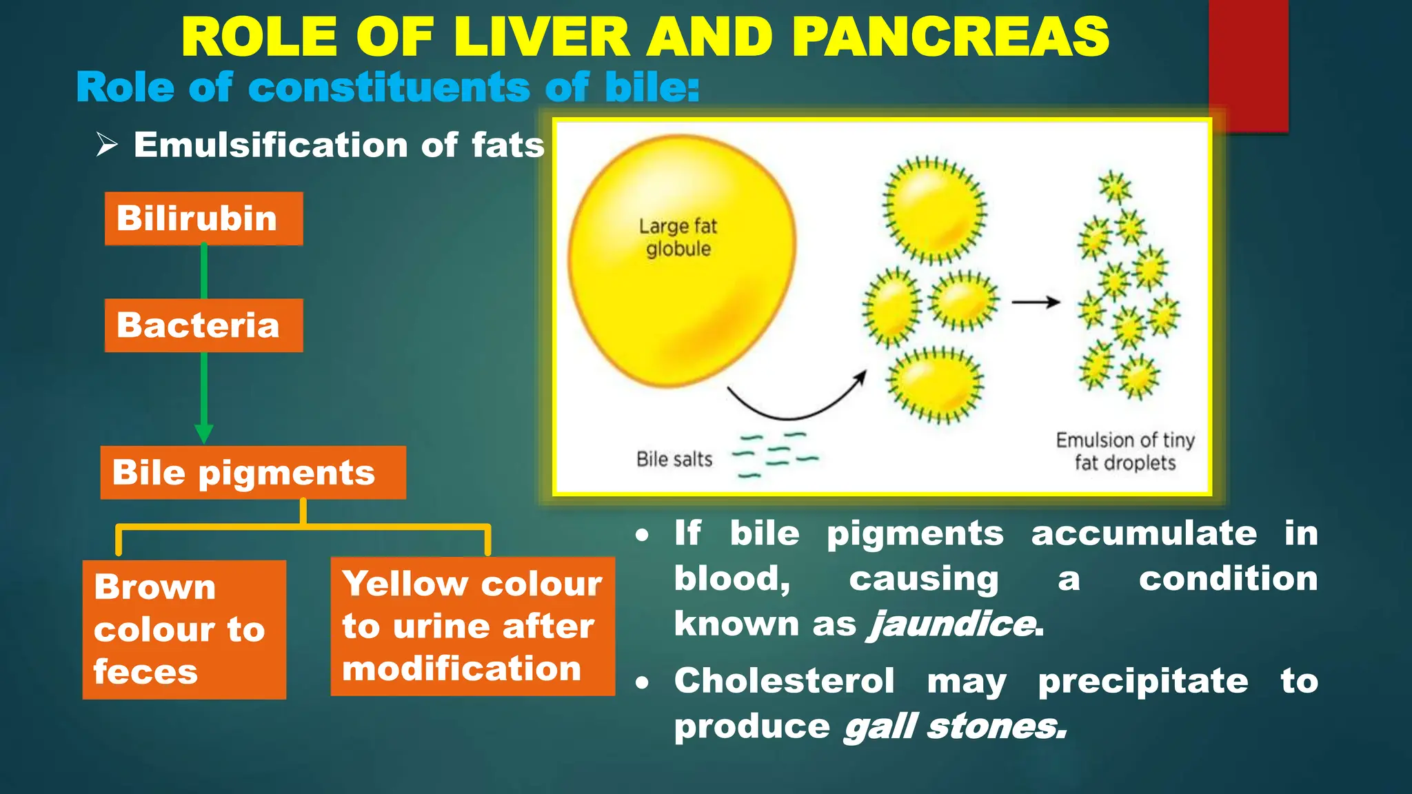 Lecture KIPS 2023 English and maths Unit 6.pptx