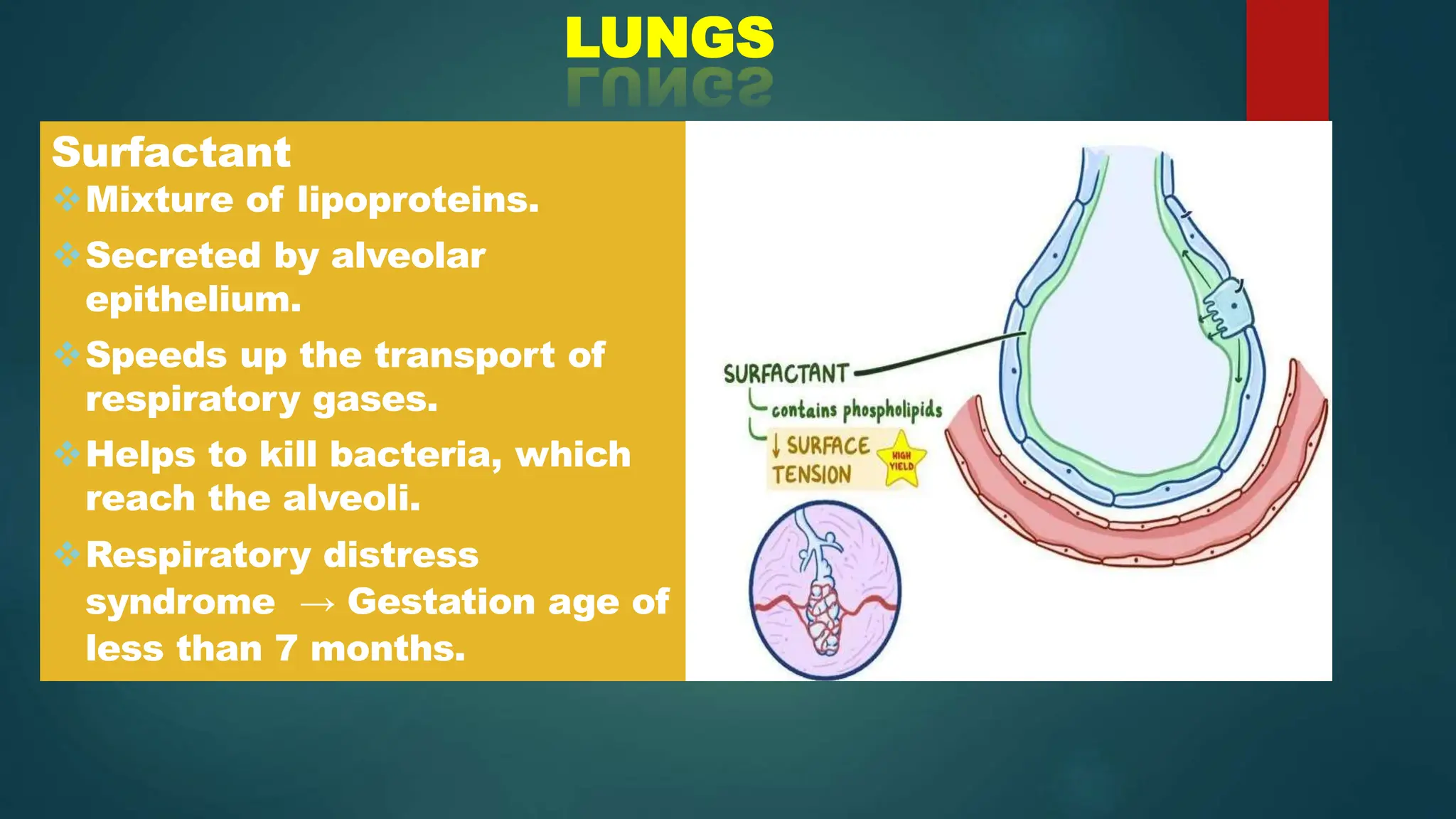 Lecture KIPS 2023 English and maths Unit 6.pptx