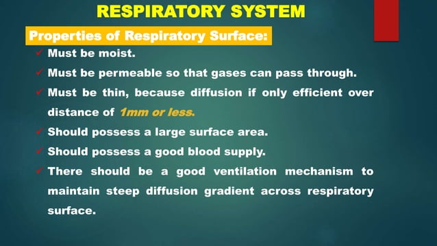 Lecture KIPS 2023 English and maths Unit 6.pptx