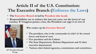 Lecture Lesson: Legislative and Executive Branch | PPTX