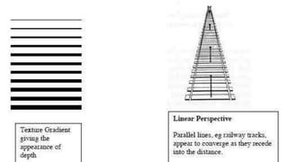 Lecture line as design elements | PPT