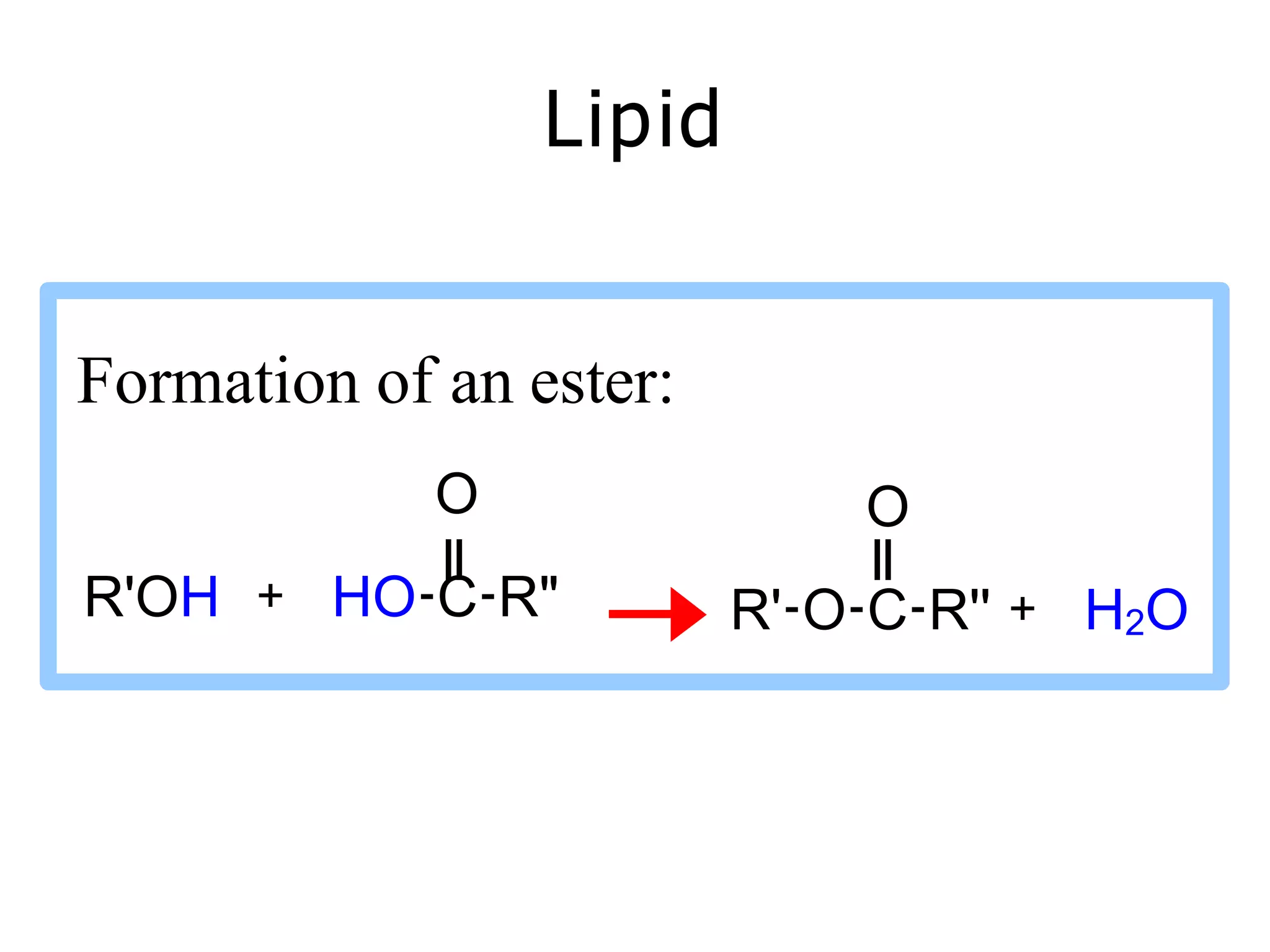 Lecture lipids | PPT