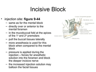 Lecture localanesthesia | PPT