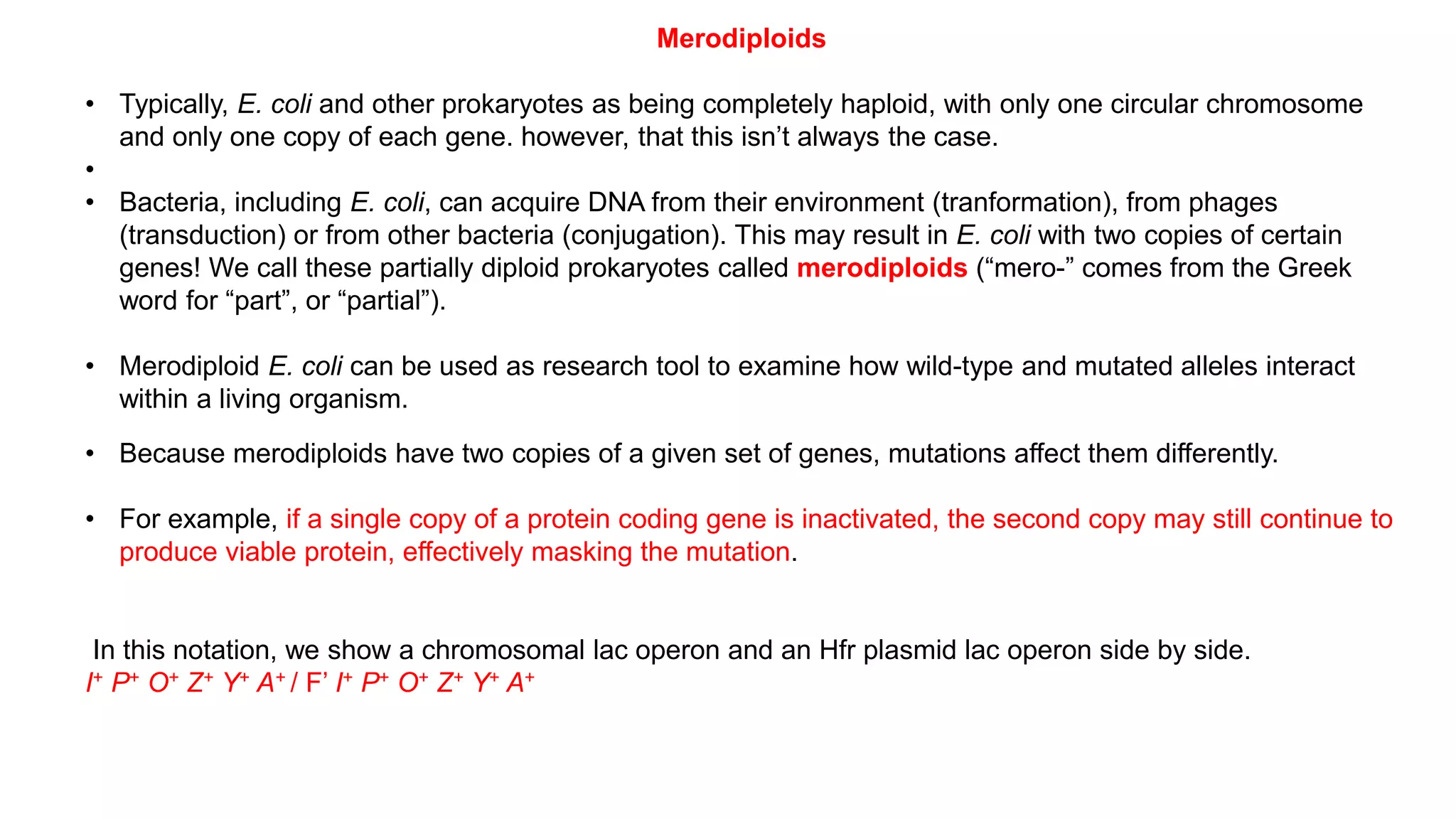 Lecture Merodiploids -lac genes_slideshare.pdf