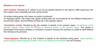 Lecture Merodiploids -lac genes_slideshare.pdf